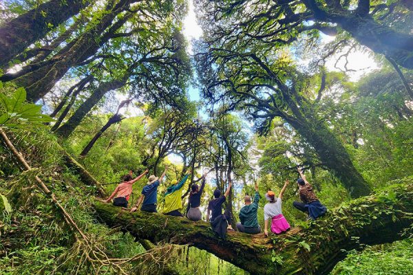 Top 9 most beautiful adventure tourist destinations in Northern Vietnam ...