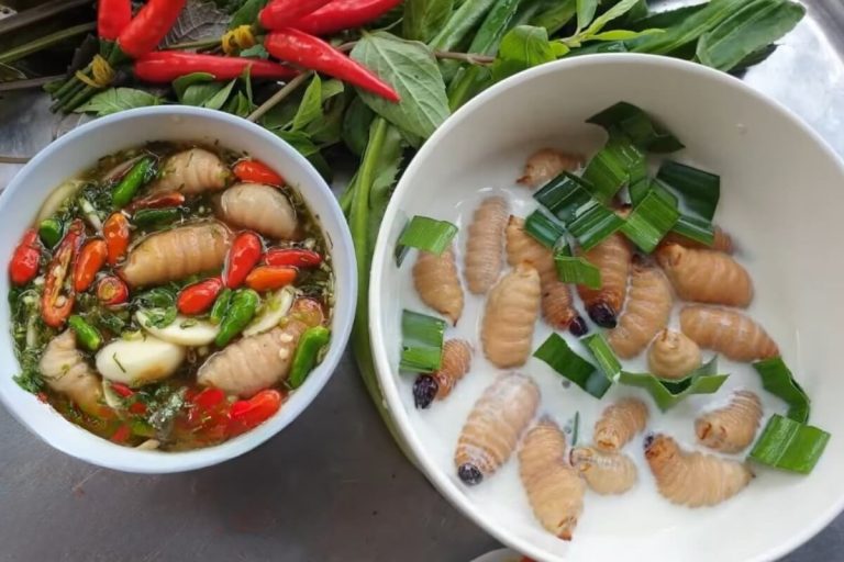 Top 10+ Strange Vietnamese Foods to Try in 2025 – Dare to Eat in ...