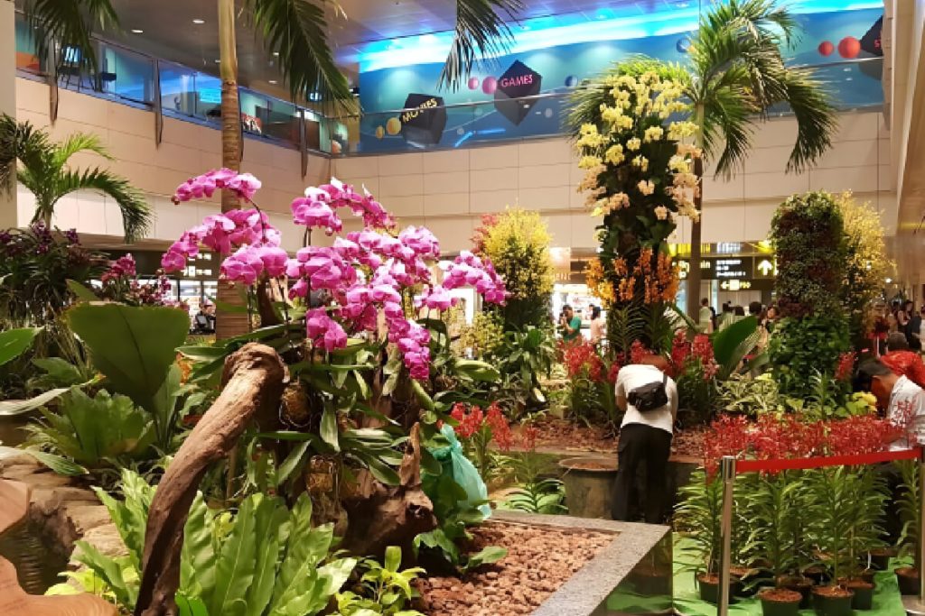 Ham Rong Mountain: The famous dragon-head-shaped mountain of Sapa ...